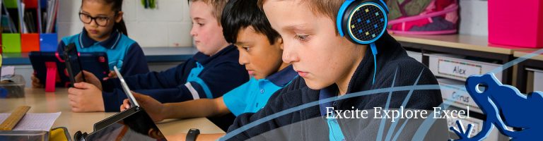 School Vision – Excelsior Primary School