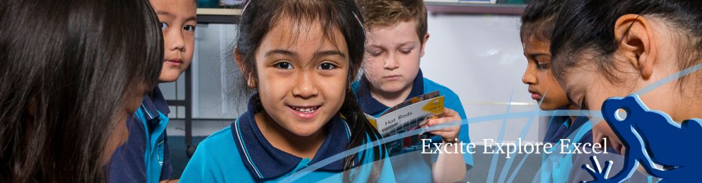 Term Planners – Excelsior Primary School